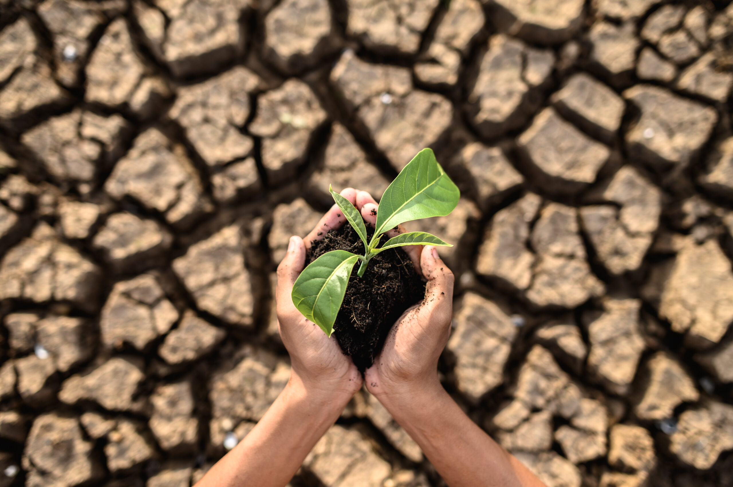 Insuring Tomorrow: Insuring Against Climate Change - Costero Brokers
